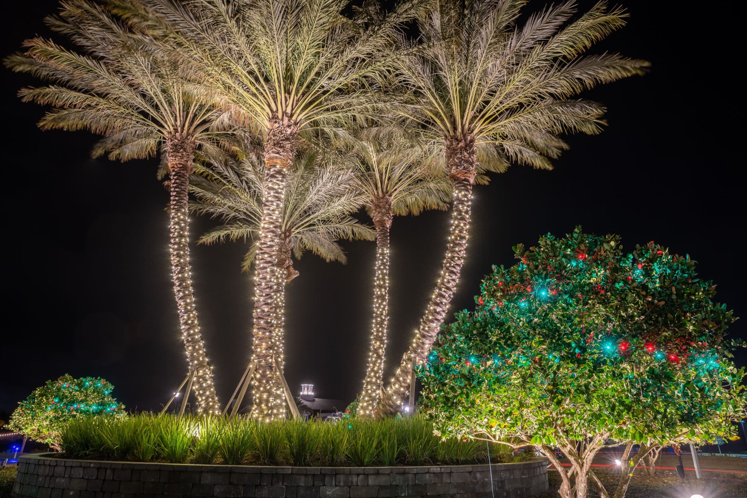 Beacon Lake Winter Social - 2019 - Beacon Lake